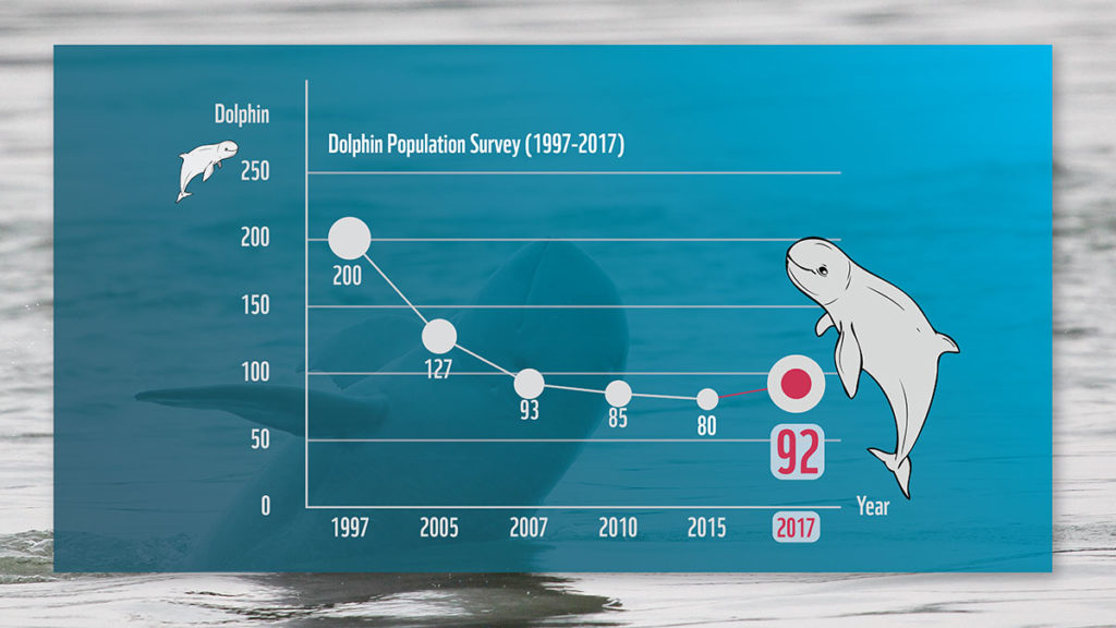 Dolphin-Population-trend-Graph_1200px - WWF-Bloggen